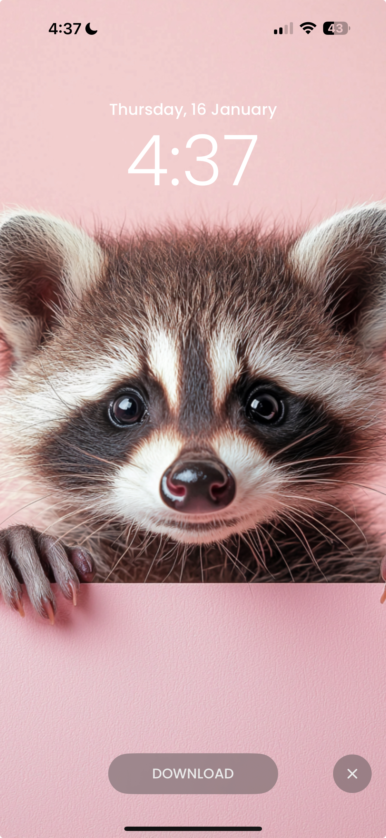 SnuggleScreen - Adorable Live Animal Wallpapers for iPhone | Pet ...
